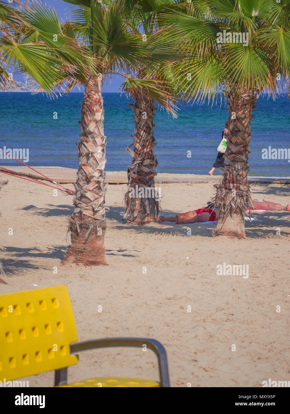 tourists sunbathe in a beach with palm trees and benches to relax in ...