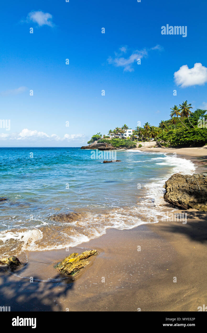 Samana beach hi-res stock photography and images - Alamy