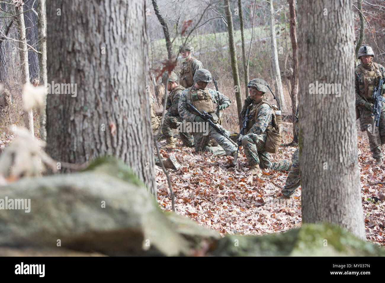 U.S. Marines with Lima Company, 3rd Battalion, 8th Marine Regiment, 2nd ...