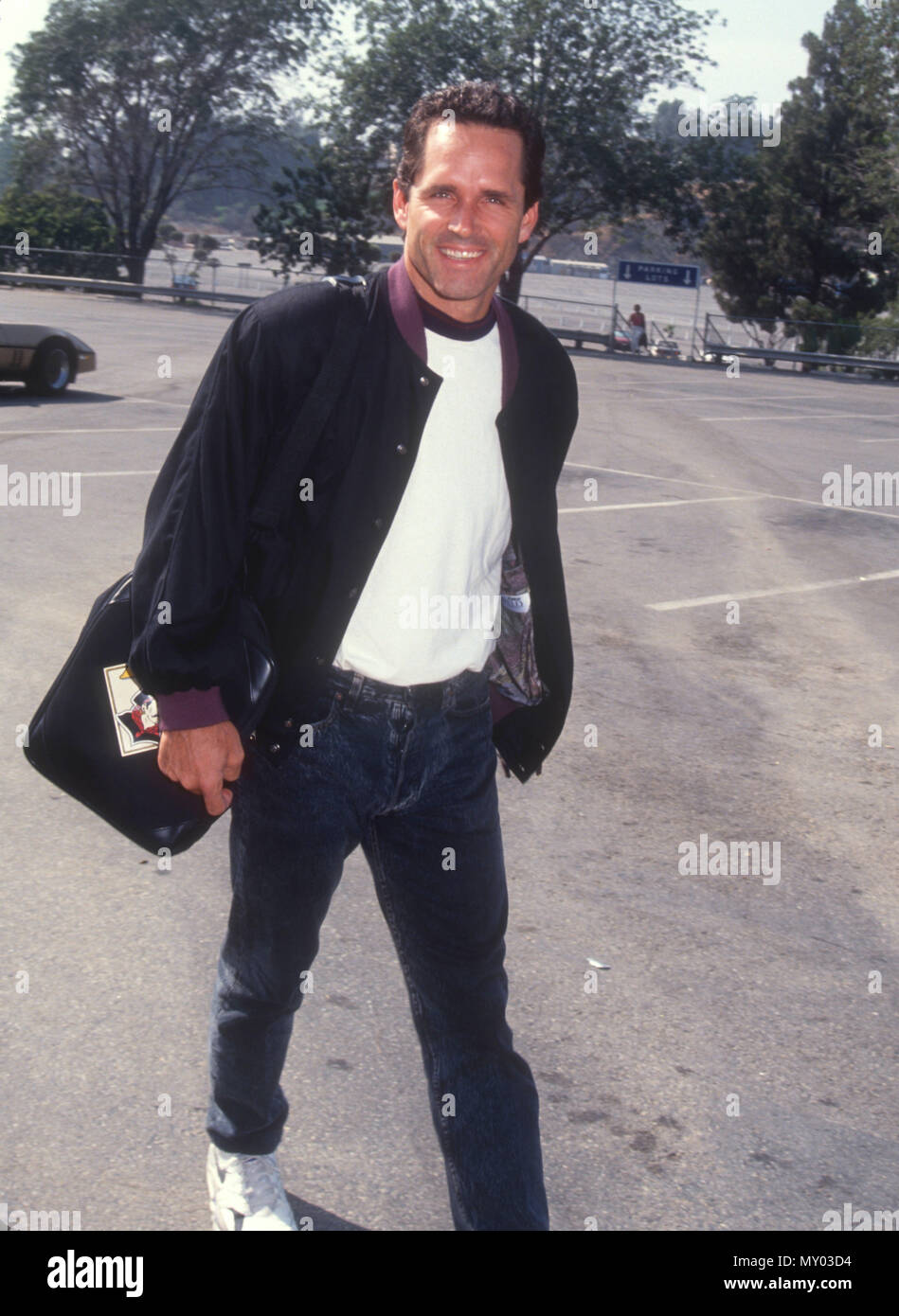 LOS ANGELES, CA - AUGUST 17: Actor Gregory Harrison attends Hollywood ...