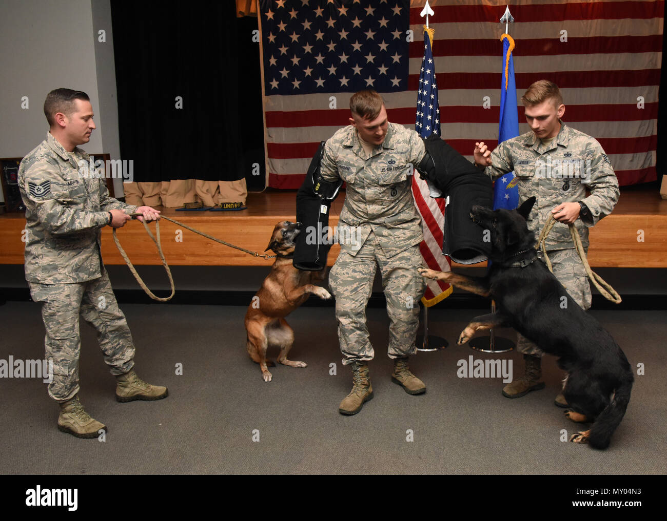 Densy and Ares, 81st Security Forces Squadron military working dogs ...
