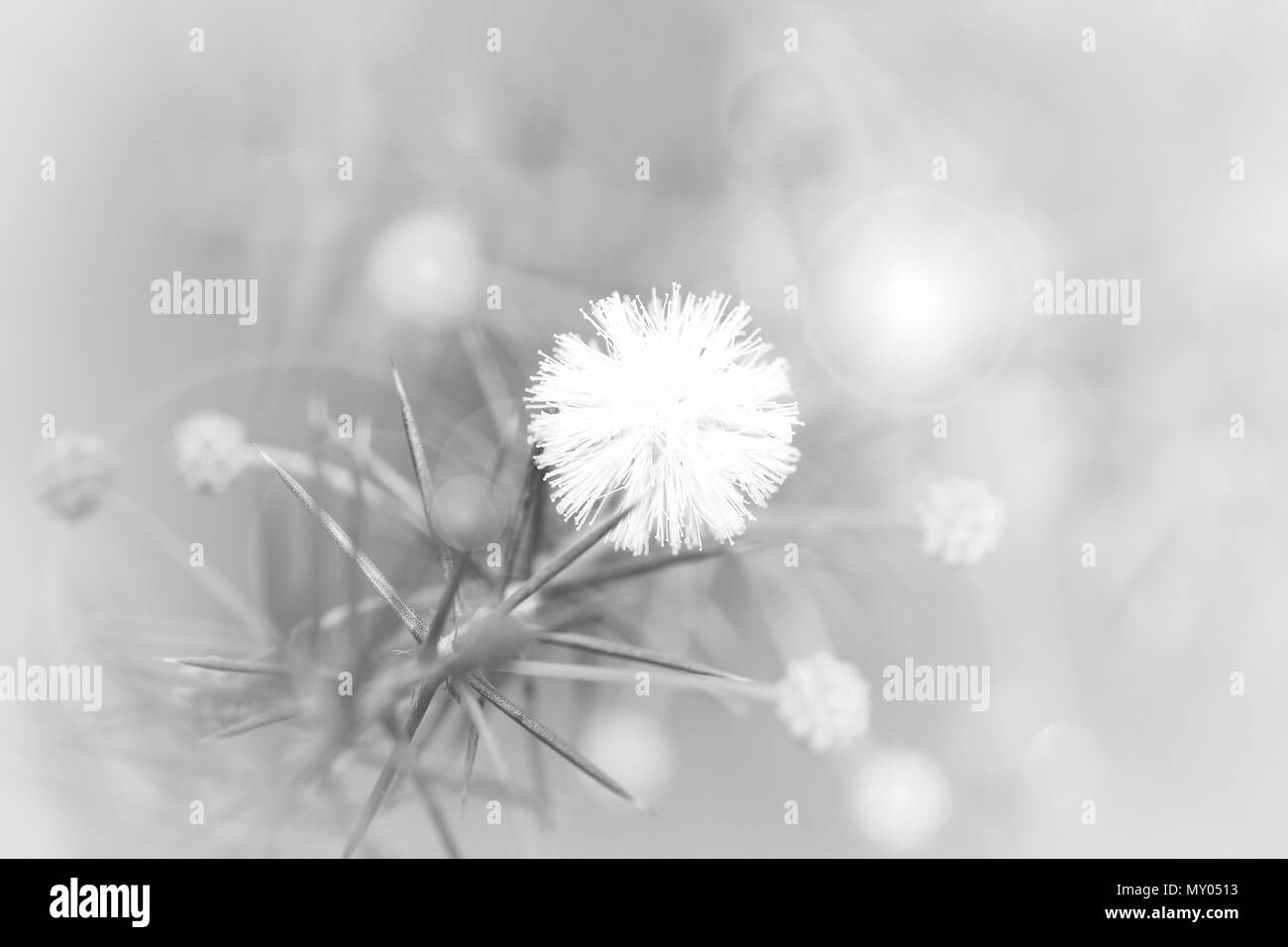 Good feelings Black and White Stock Photos & Images - Alamy