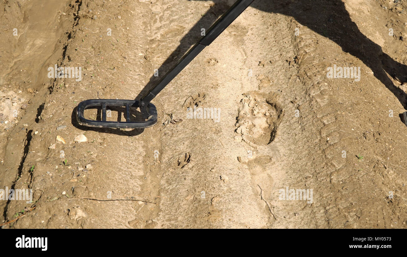 Metal detector hovering over road. Metal detector in action Stock Photo ...