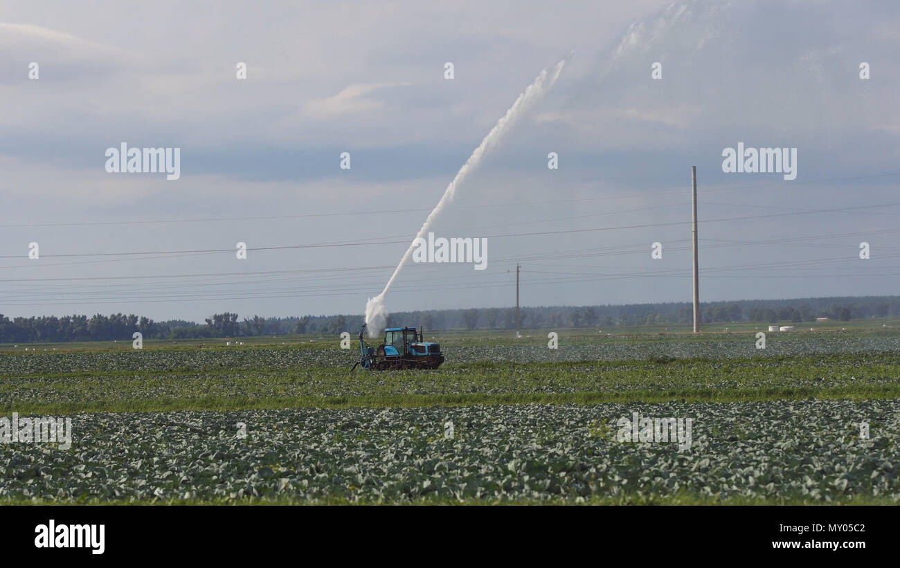 Irrigation system cabbage hi-res stock photography and images - Alamy