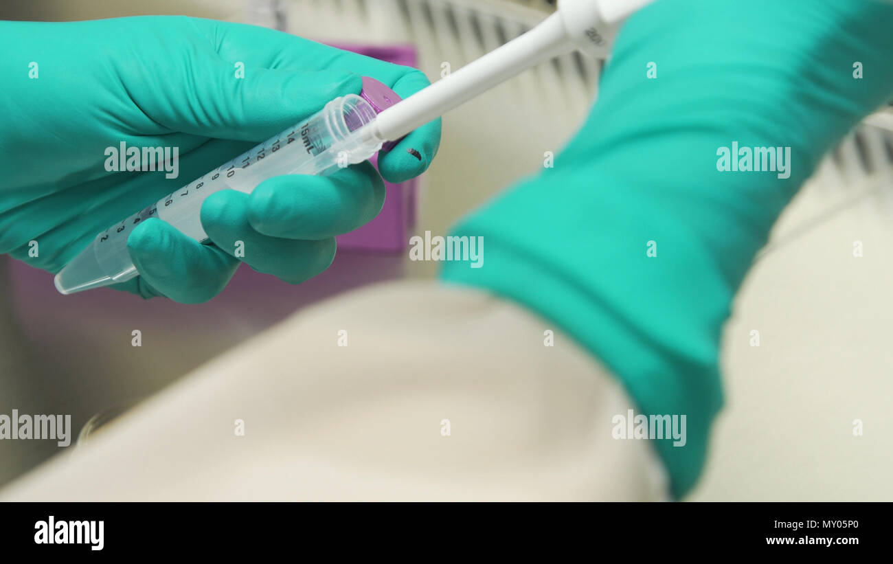 Microbiologist is conducting research and doing tests with biological ...