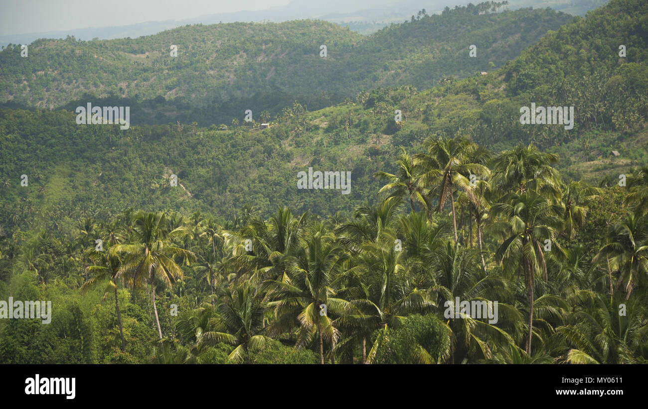 Mountains with rainforest covered with green vegetation and trees on ...