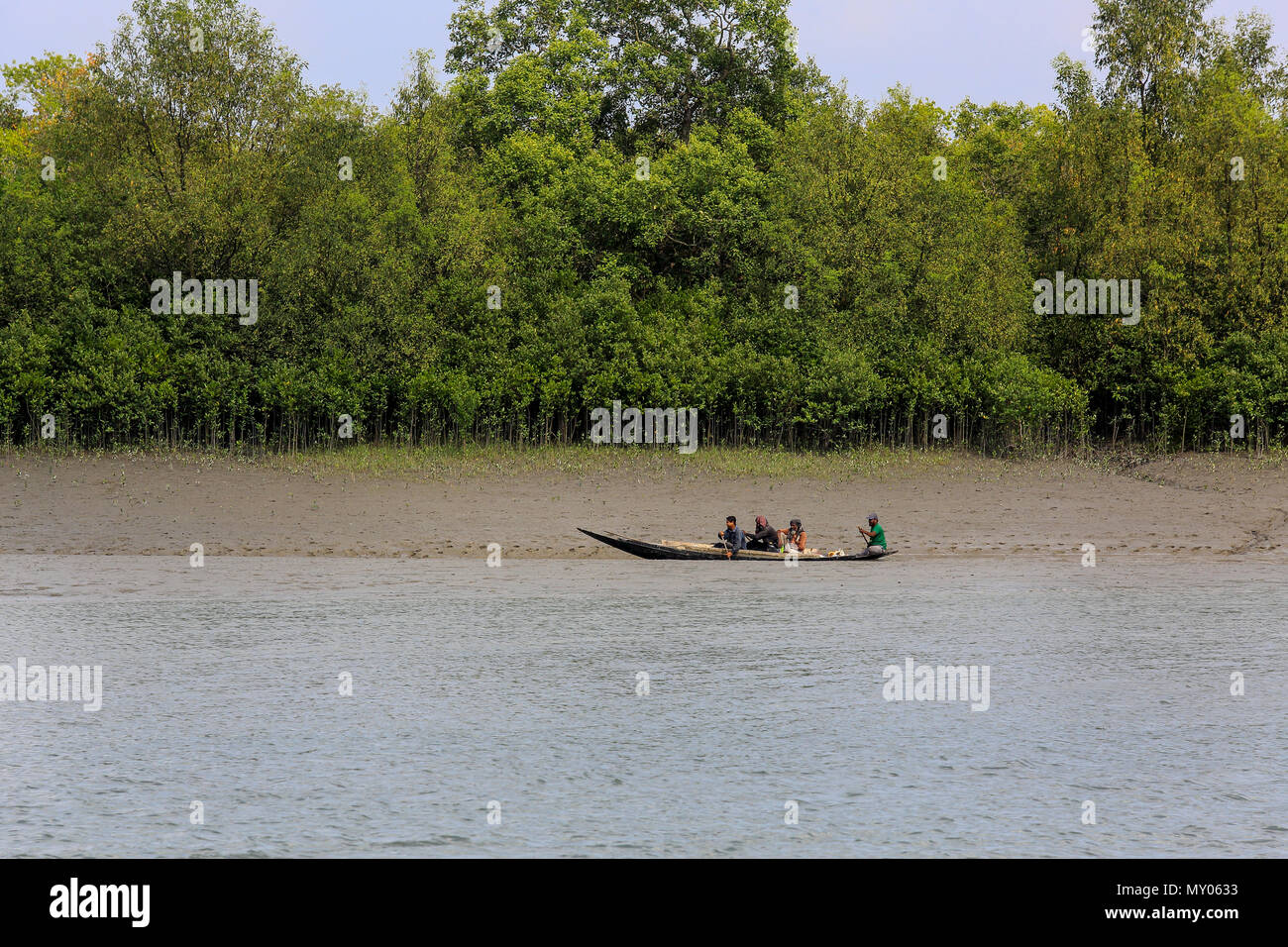 Sundarbans, the largest mangrove forest in the world. Satkhira, Bangladesh Stock Photo - Alamy