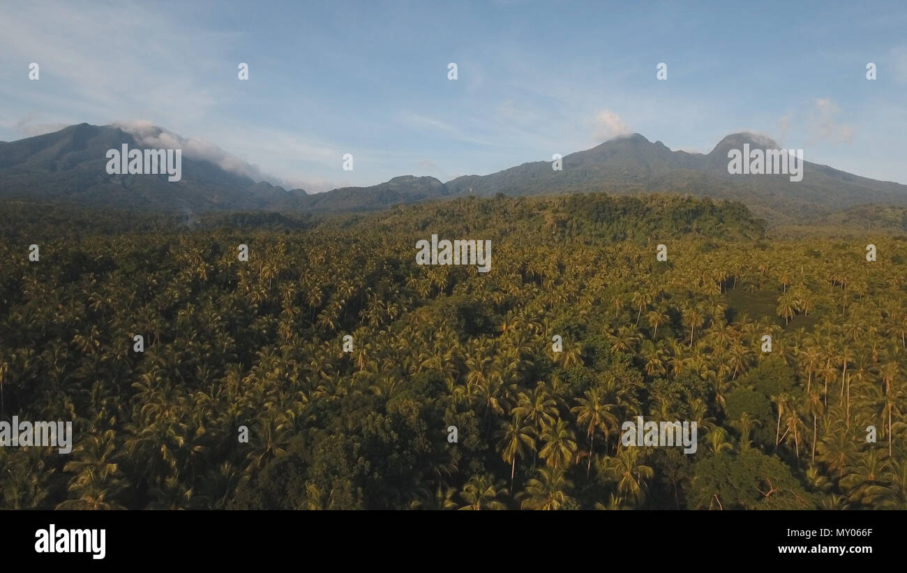 Mountains covered rainforest philippines camiguin hi-res stock ...