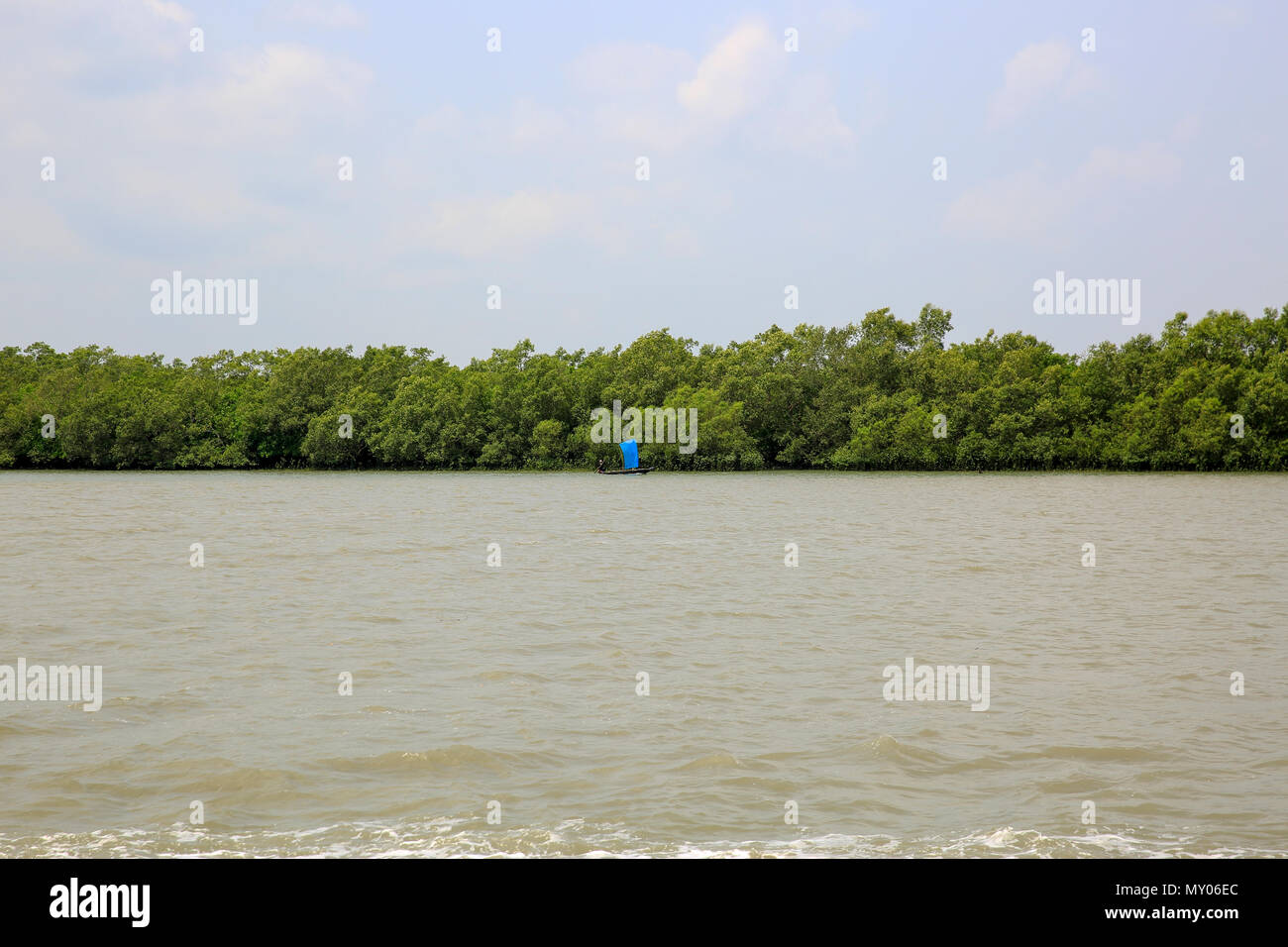 Sundarbans, the largest mangrove forest in the world. Satkhira, Bangladesh Stock Photo - Alamy