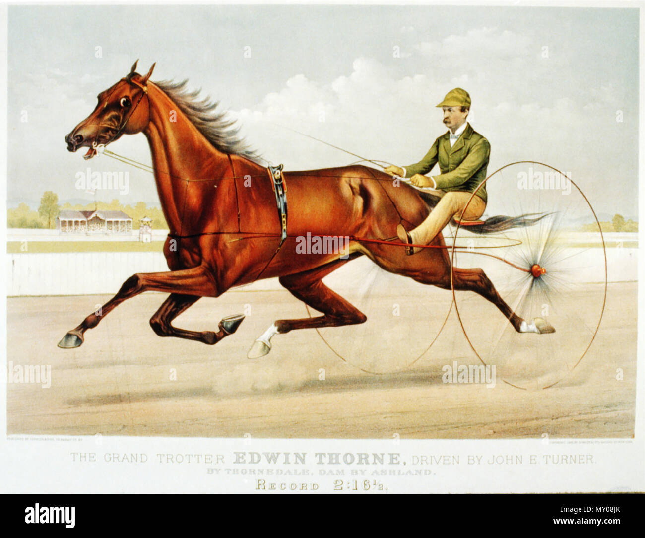 19th century harness racers hi-res stock photography and images - Alamy