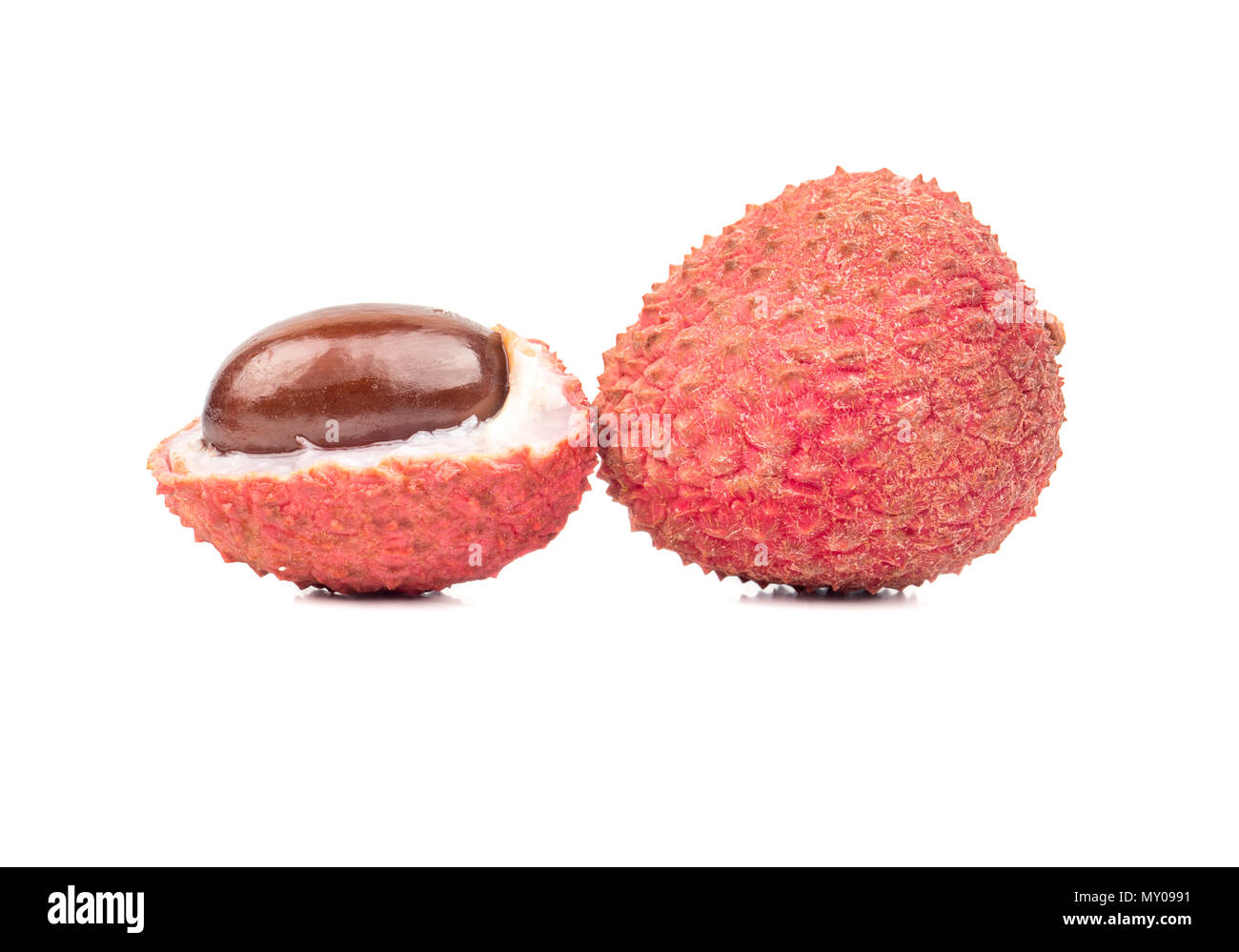 With a half white half red shell hi-res stock photography and images ...