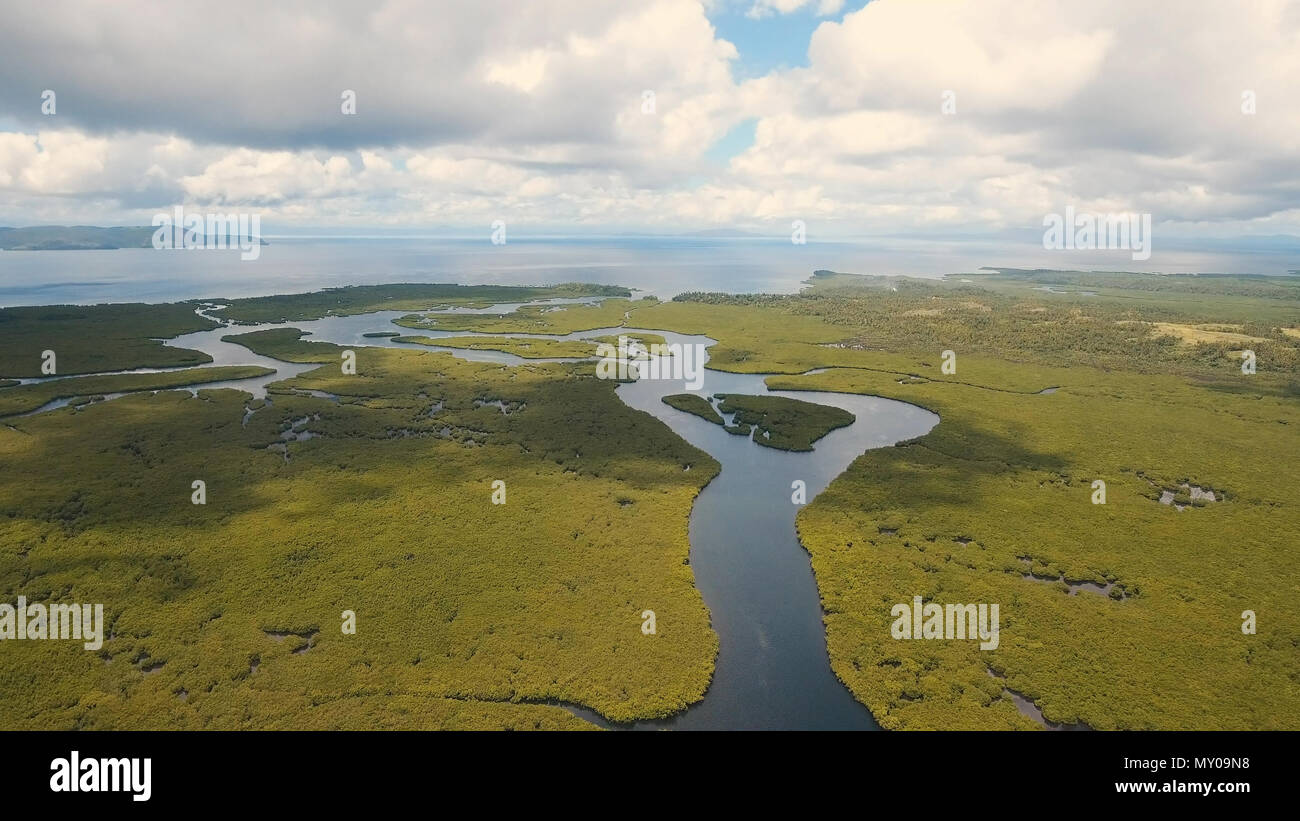 Aerial view of mangrove forest and river on the Siargao island ...