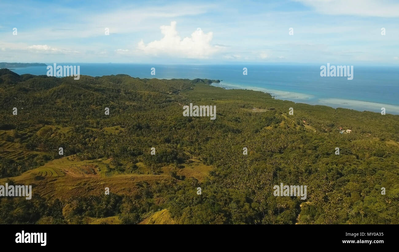 Bohol port hi-res stock photography and images - Alamy