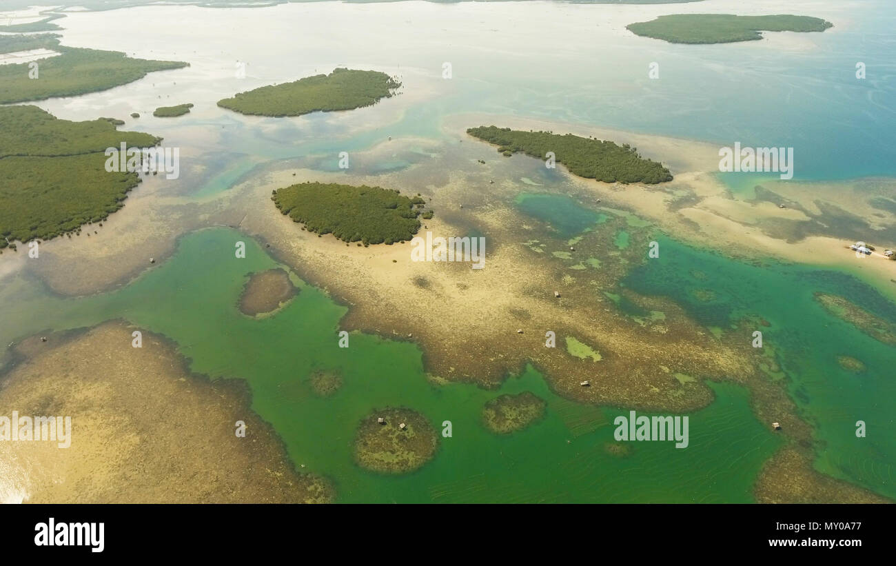 Aerial view: beach, tropical island, sea bay and lagoon, Bohol ...