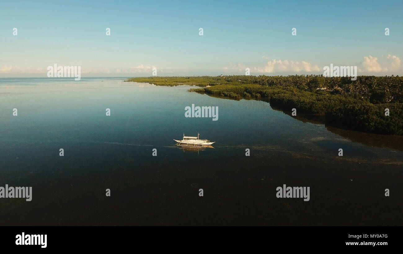 Coastline of the tropical island Bohol with rainforest on a background ...