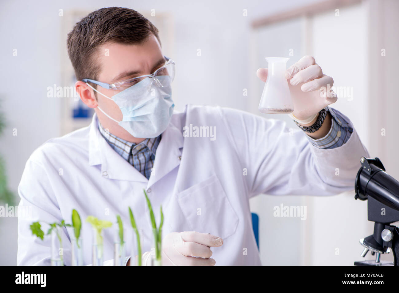 Male biochemist working in the lab on plants Stock Photo - Alamy