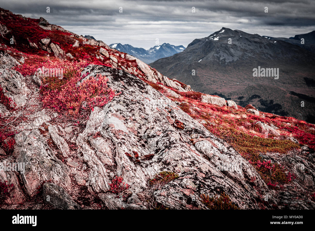 Autumn in Norway, Sunnmore alps Stock Photo - Alamy