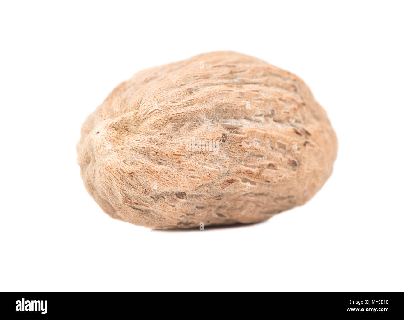 Dry nutmeg isolated on white background closeup Stock Photo - Alamy