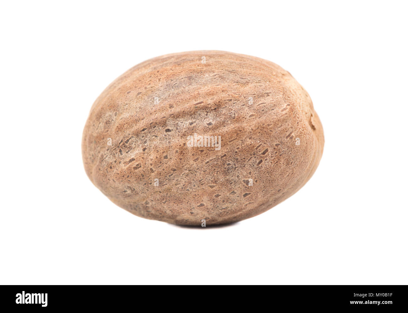Dry nutmeg isolated on white background closeup Stock Photo - Alamy