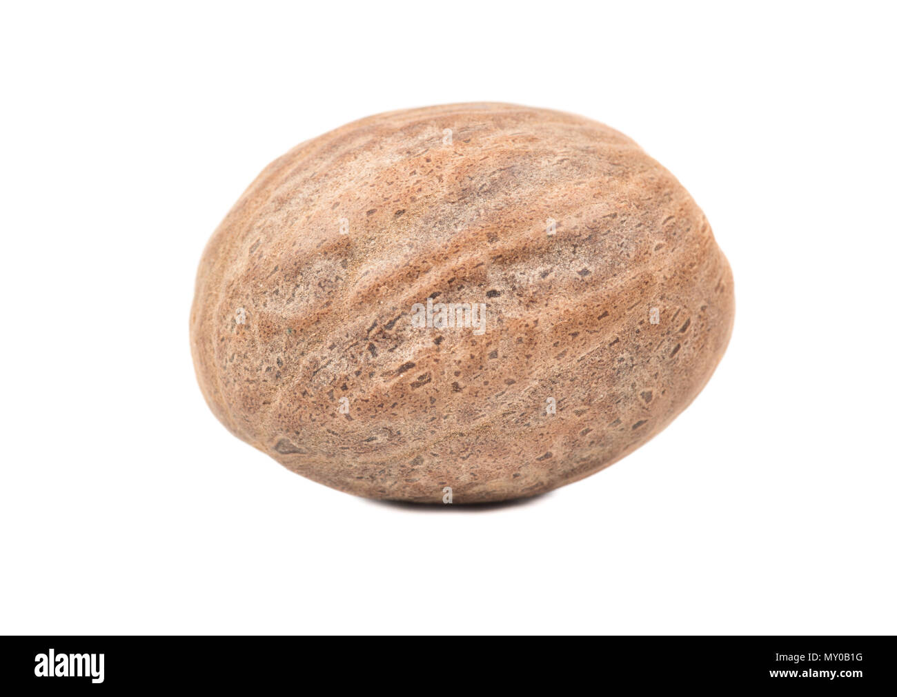 Dry nutmeg isolated on white background closeup Stock Photo - Alamy