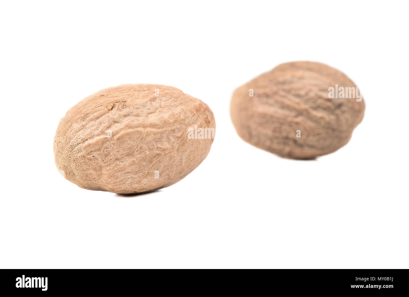 Two dry whole nutmeg isolated on white background Stock Photo - Alamy