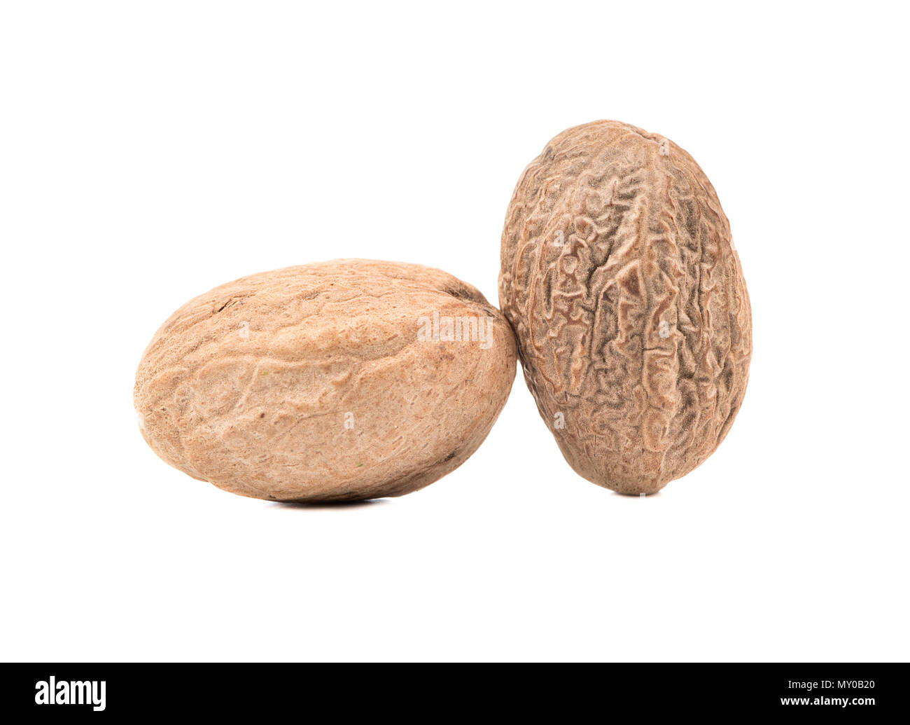 Two dry whole nutmeg isolated on white background Stock Photo - Alamy