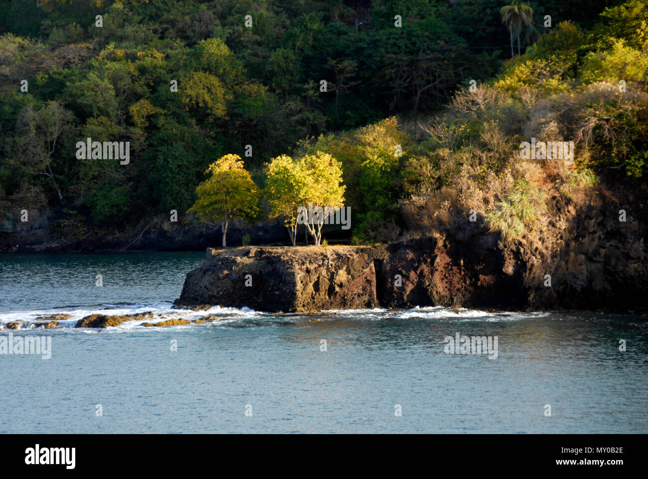 Group of small trees on rocky promontory lit by early morning sunshine ...