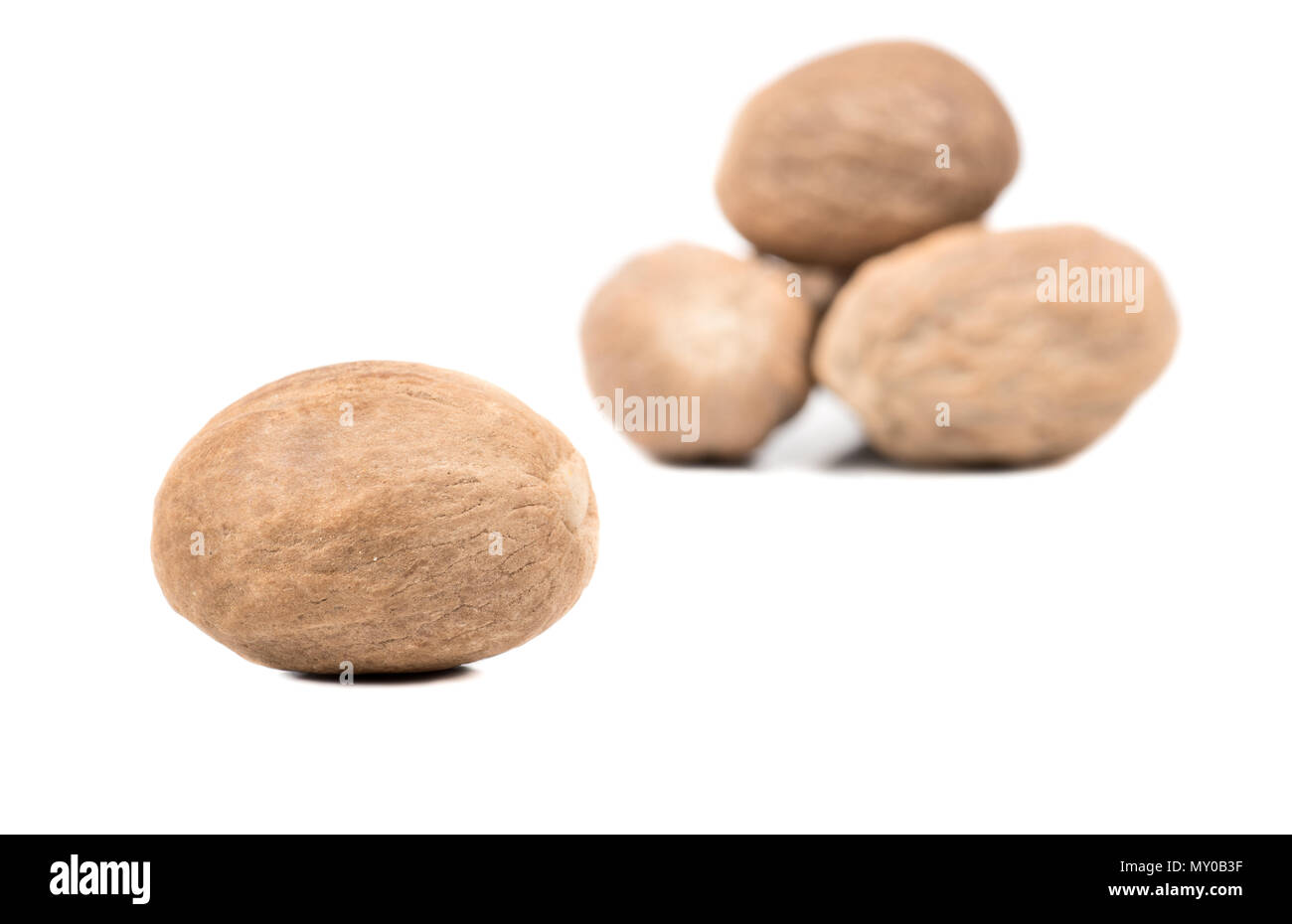 Some dry nutmeg on a white background closeup Stock Photo - Alamy