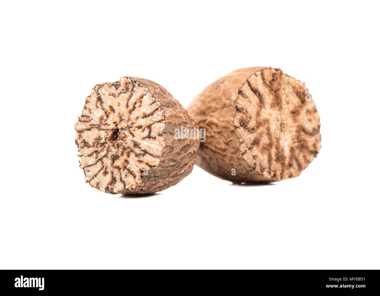 Two halves of dry nutmeg on white background Stock Photo - Alamy