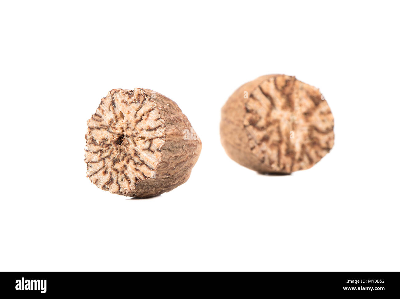 Two halves of dry nutmeg on white background Stock Photo - Alamy