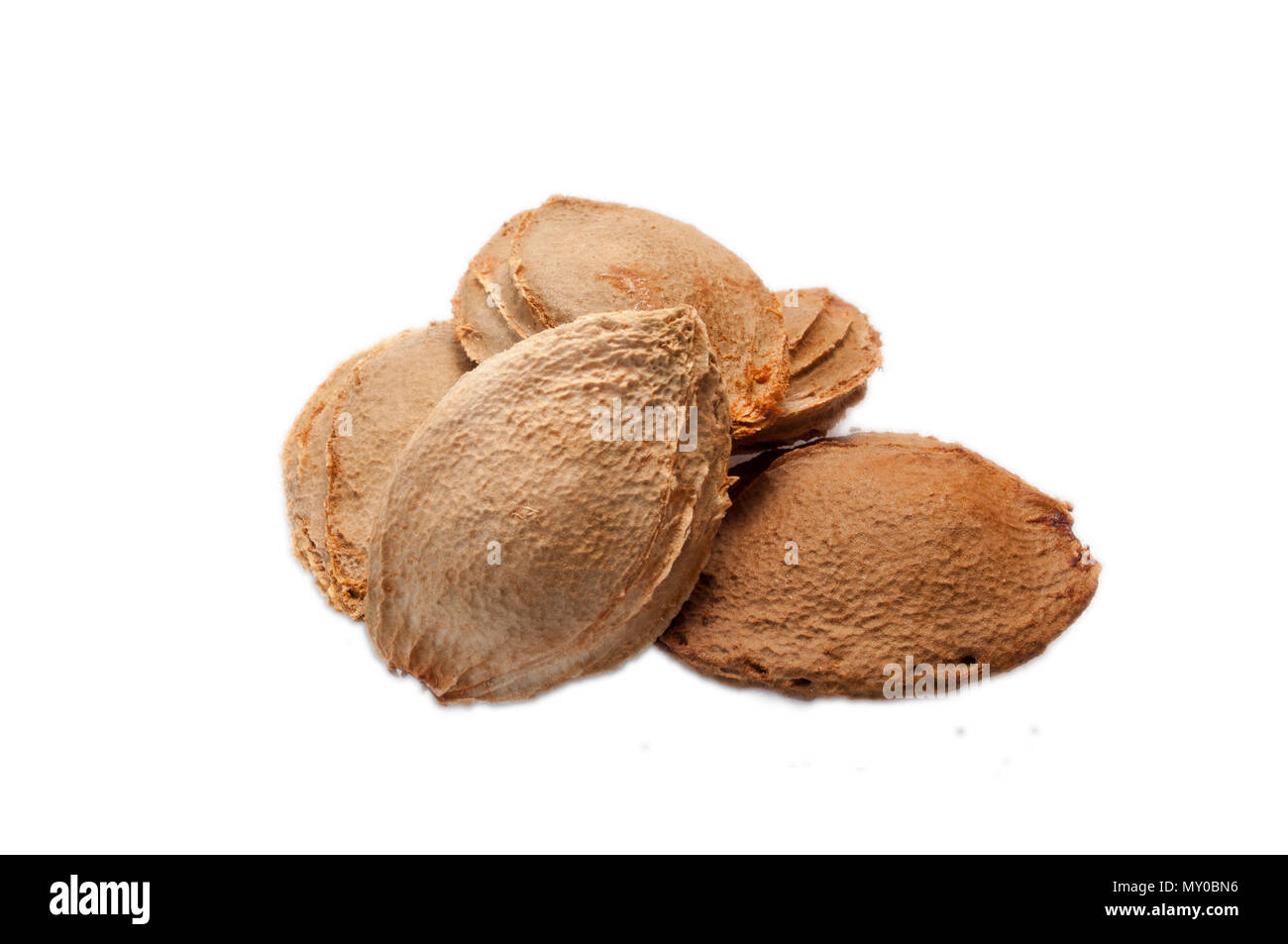 Apricot pits, isolated on white background Stock Photo - Alamy