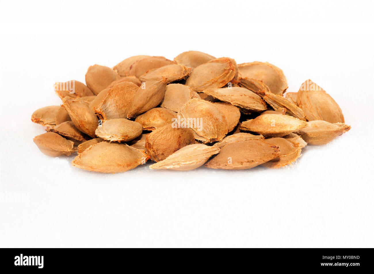 Apricot pits, isolated on white background Stock Photo - Alamy
