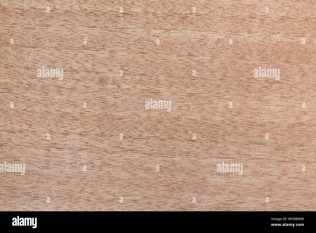 Usual light veneer background for your new interior Stock Photo - Alamy