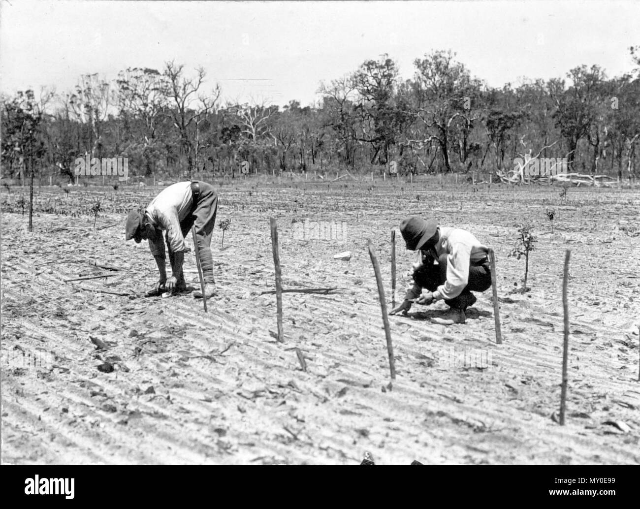 Australian settlers Black and White Stock Photos & Images - Alamy