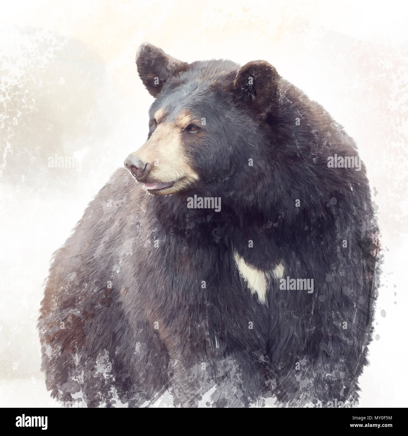 Black Bear portrait watercolor painting Stock Photo - Alamy