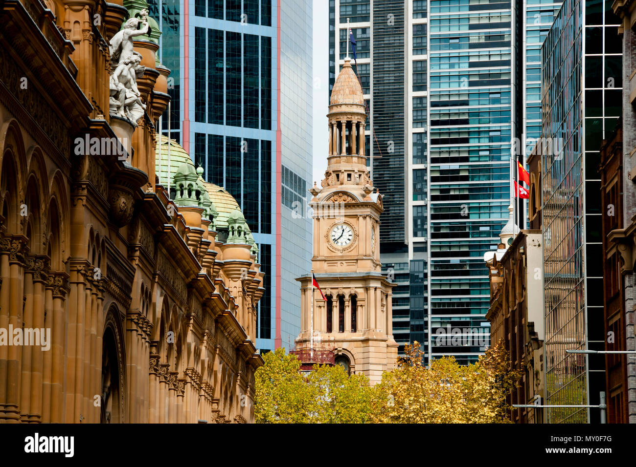 Queen Victoria Building Sydney Architecture at Todd Briones blog