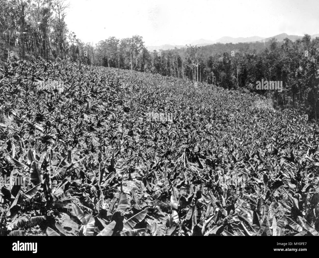 M over Black and White Stock Photos & Images - Alamy