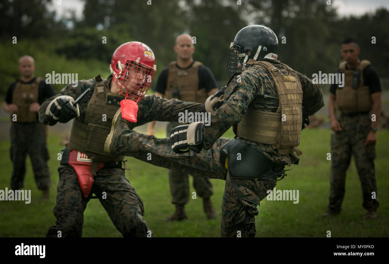MARINE CORPS BASE HAWAII - A Marine assigned to Martial Arts Instructor ...