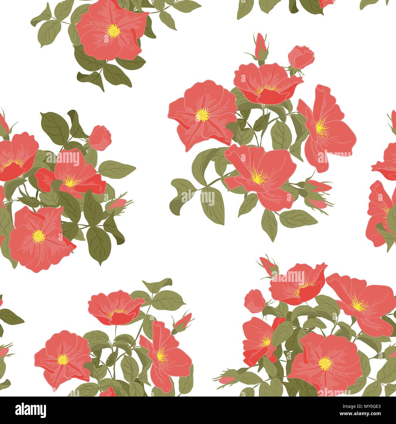 Fruitofdog rose hi-res stock photography and images - Alamy