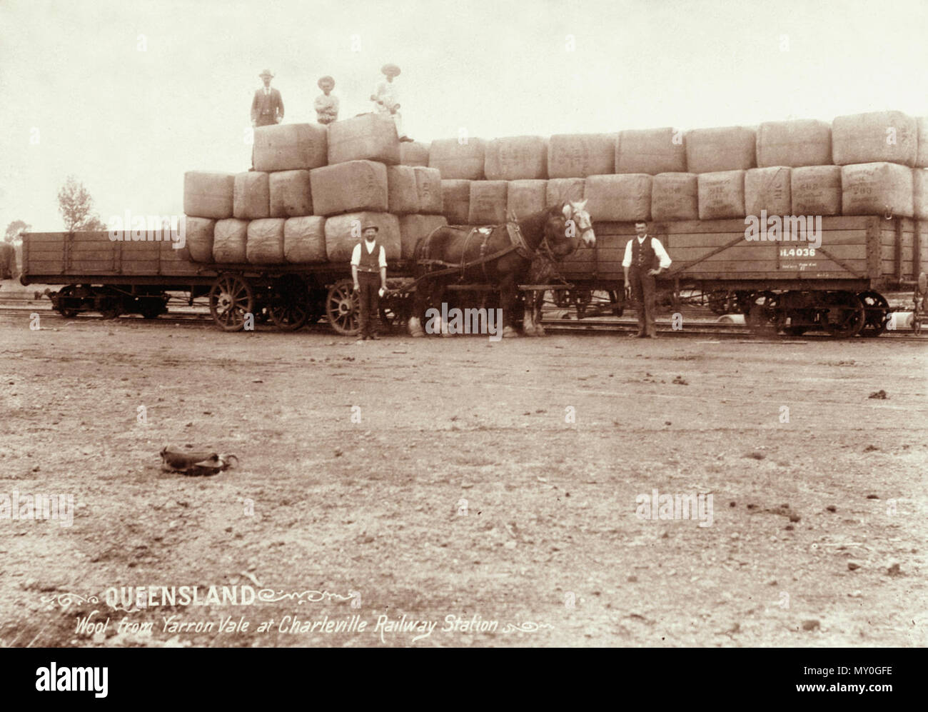 Wool train station hi-res stock photography and images - Alamy