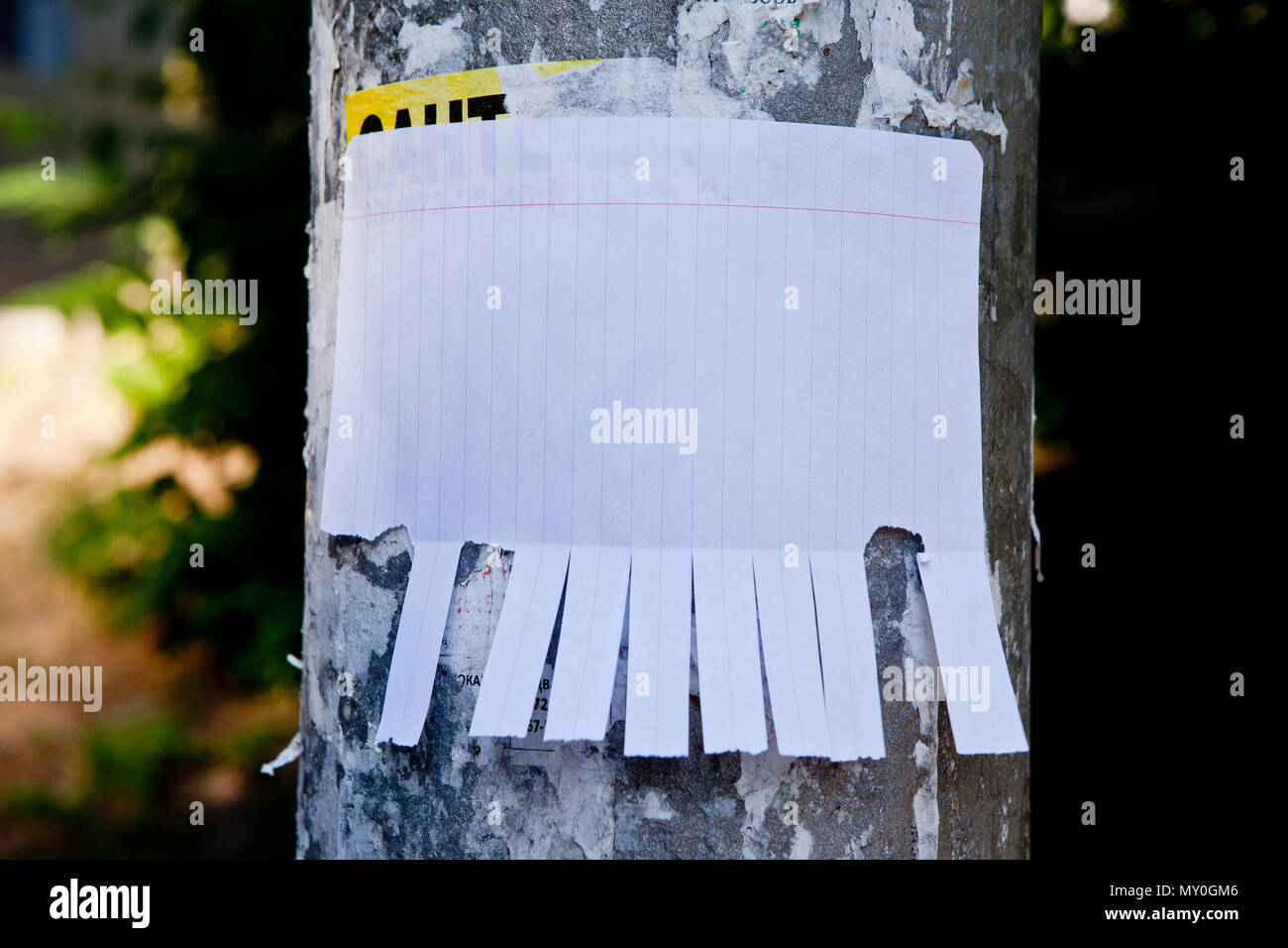 Blank white paper with tear off tabs Stock Photo - Alamy