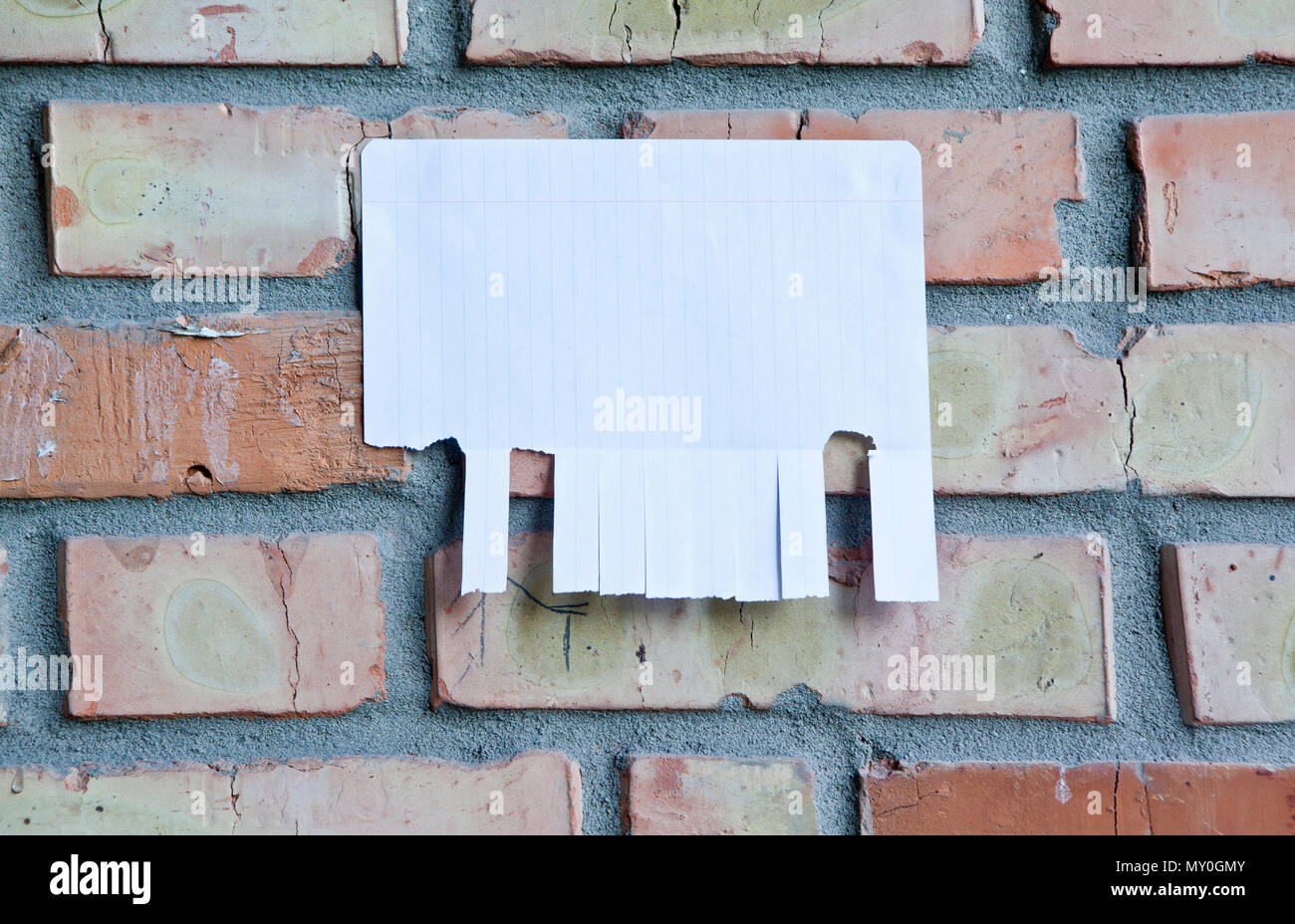 Blank white paper with tear off tabs Stock Photo - Alamy