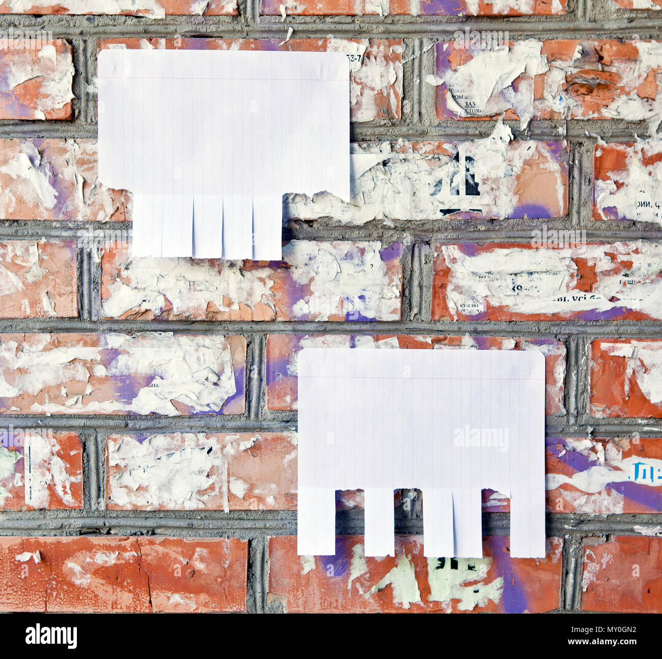 Blank white paper with tear off tabs Stock Photo - Alamy