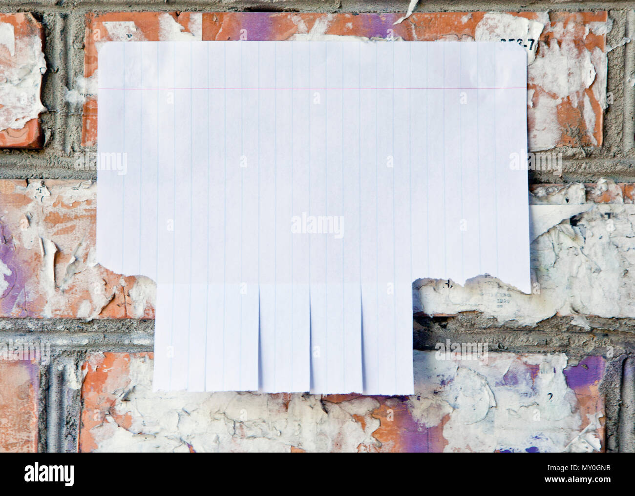 Blank white paper with tear off tabs Stock Photo - Alamy