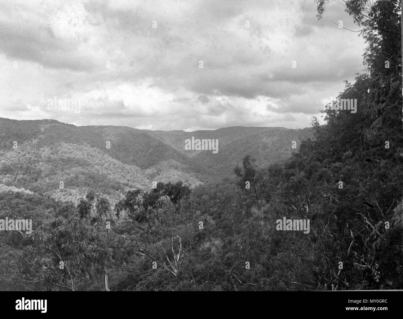 Canungra creek hi-res stock photography and images - Alamy