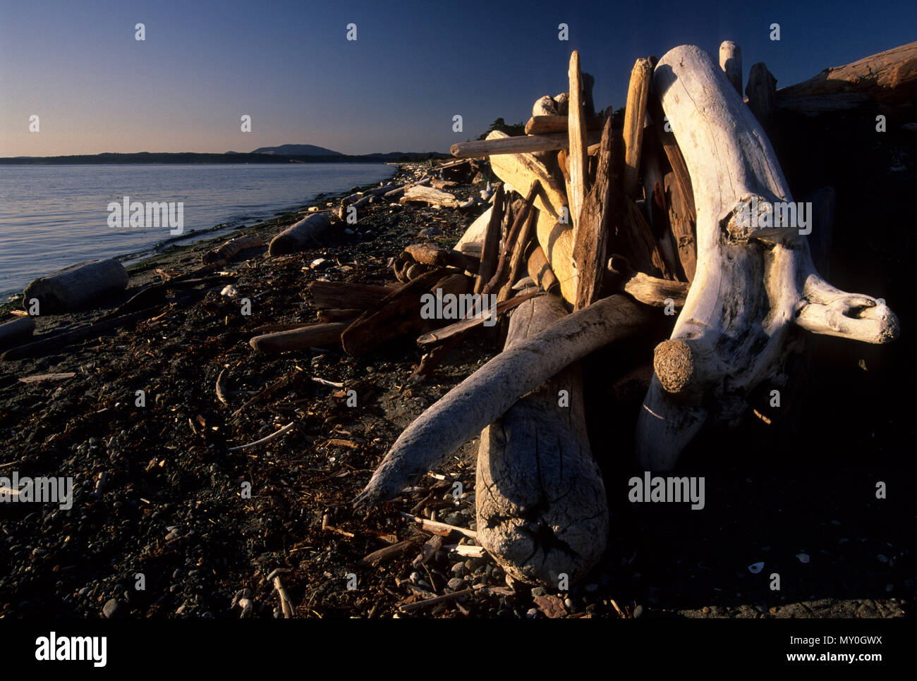 Otis perkins park hi-res stock photography and images - Alamy