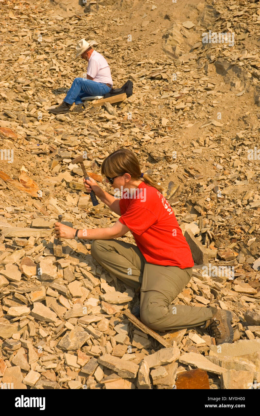 Fossil digging, Stonerose Interpretive Center and Eocene Fossil Site ...