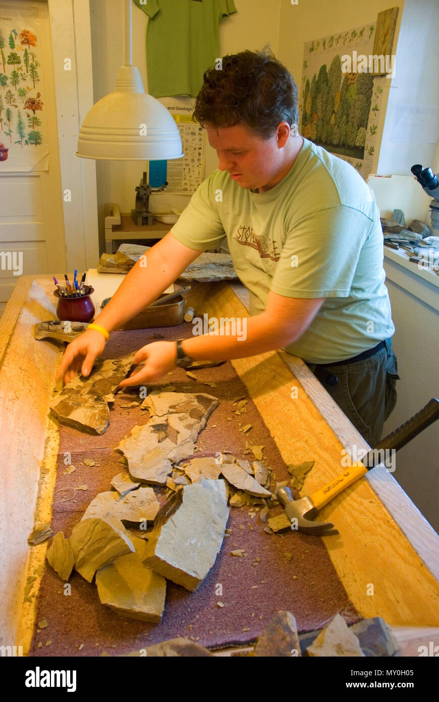 Fossil preparation, Stonerose Interpretive Center and Eocene Fossil ...