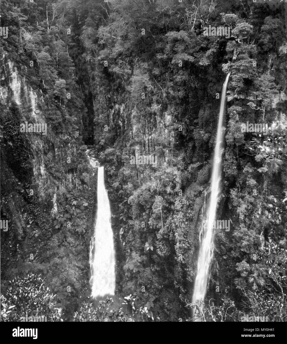 Coomera Falls and Coomera Gorge, Lamington National Park, Beaudesert ...