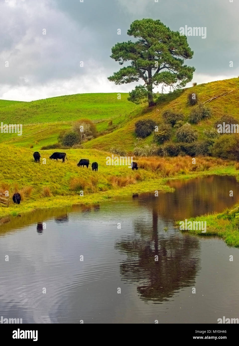 Vast pasture lands surrounded by mountains, South Island, New Zealand ...